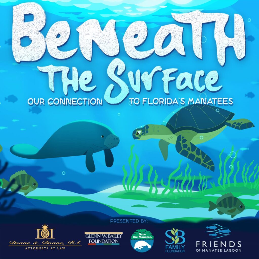 Saving Manatees | Manatee Education | Manatee Awareness