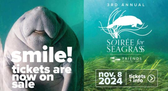 Saving Manatees | Manatee Education | Manatee Awareness