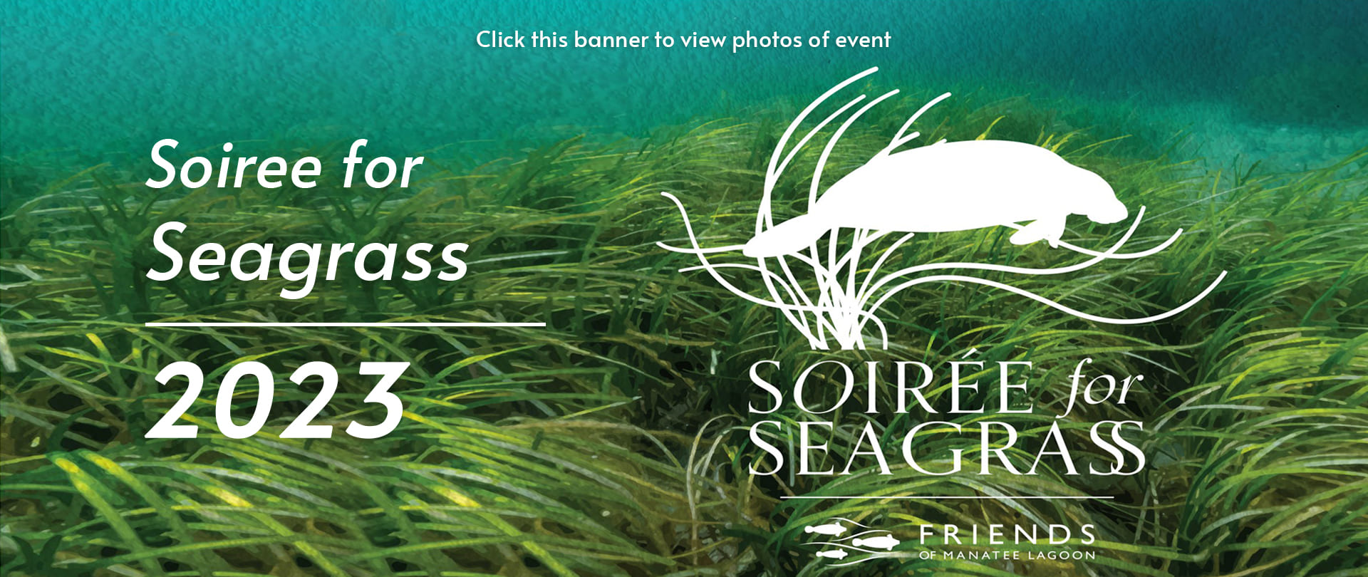 Saving Manatees | Manatee Education | Manatee Awareness